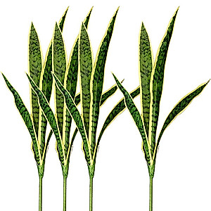 Ollain 4 PCS Artificial Sansevieria Plants 30 Inch Tall Fake Snake Faux Plant for Indoor and Outdoor Home Garden Office Store Decoration (Yellow Edge)