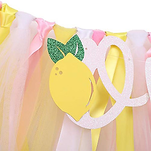 One Person in The Lemon Banner- 1st Birthday High Chair Banner, Smashed Cake, Photo Background Props, Piece Skirt (Lemon Banner)