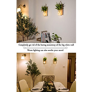 Mason Jar Lights, (Remote Control) Sconces Rustic Wall Decor - Hanging lamp LED Fairy Lights with Green Plant for Interior, Home, Room, Office, Kitchen, Bathroom Decoration Living (2PCS, Warm Light)