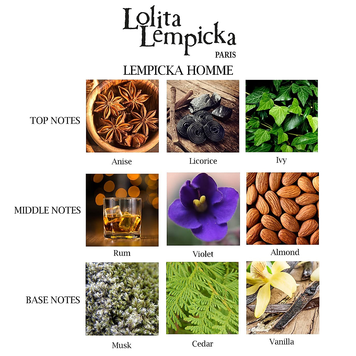 Lolita Lempicka Homme Eau De Toilette Spray for Men - Fresh Masculine Scent w/Woody Notes of Cedar, Rum, Vanilla, & Musk - Ideal for Daily Wear and Special Events - 1.7 Oz