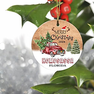 Christmas Tree Ornaments 2024 - Homosassa Florida Ornament Hometown Custom City State - Keepsake Gift Ideas Homosassa FL Ornament 3" for Friend and Housewarming
