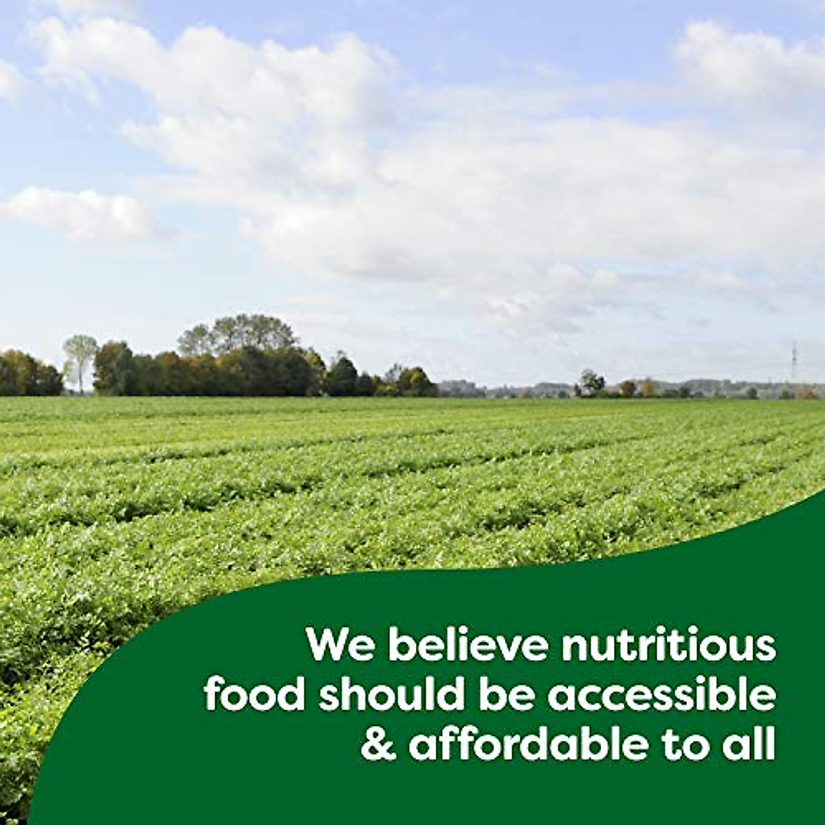 Knorr Rice Sides For a Tasty Rice Side Dish Chicken Fried Rice No Artificial Flavors, No Preservatives, No Added MSG 5.7 oz