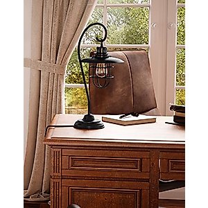 Lite Source LS-21456D/BRZ Lanterna Ii Table Lamp, 10" x 9" x 23"