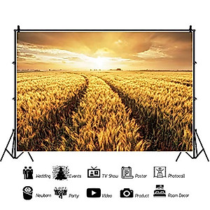 Renaiss 10x8ft Gold Cornfield Backdrop for Photoshoot Yellow Sunshine Clouds Harvest Field Photography Background Photo Booth Live Broadcast Video Prop Portraiture Party Family Gathering Outdoor Decor
