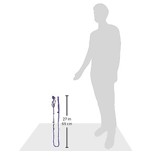 PetSafe Come With Me Kitty Harness and Bungee Leash, Harness for Cats, Large, Lilac/Bright Purple