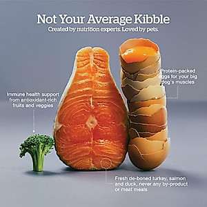 Now Fresh Grain-Free, Dry Dog Food, Real Meat and Fish, Turkey, Salmon and Duck Large Breed Adult Recipe, 12 lb Bag