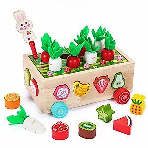 Montessori Toys for Toddlers, Rundad Wooden Carrot Pulling Baby Toy, Learning & Educational Shape Sorter for Fine Motor Skills, Birthday Gift for 3+ Year Old Boy Girl