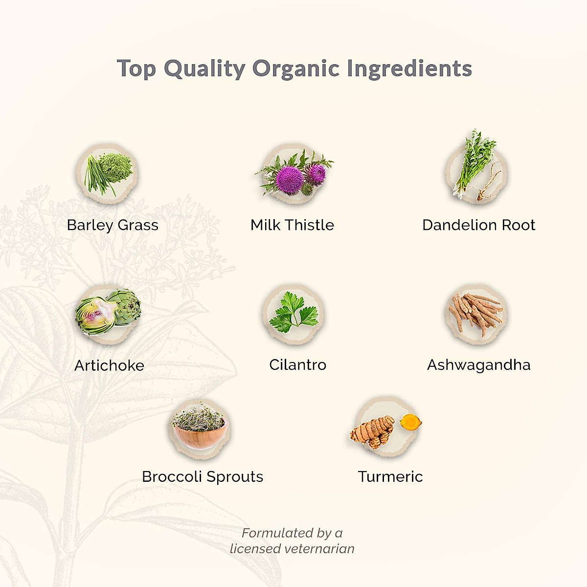 LiverTune - Certified Organic Naturally Fermented Liver Support