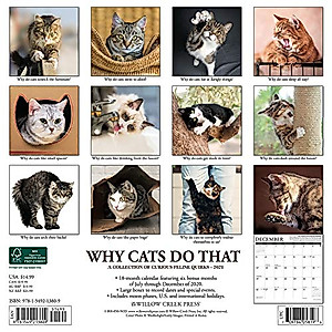 Why Cats Do That 2021 Wall Calendar