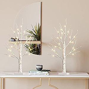 EAMBRITE Lighted Birch Tree for Easter Day Decor, Set of 2 Easter Tree Indoor, Battery Operated Artificial Tree with Lights, Christmas Easter Tree Decorations for Home (2FT / Warm White)