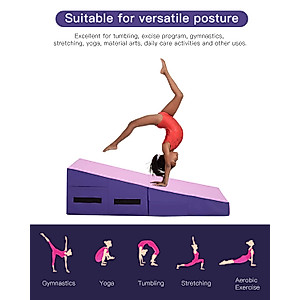 Gymnastics Mat 48x24 Inch Folding Incline Gymnastics Mat with Handle for Kids' Indoor/Outdoor Exercise, Tumbling, Skill Training, Gym Exercise, Cheese Mat, Gymnastics Wedge (Pink)