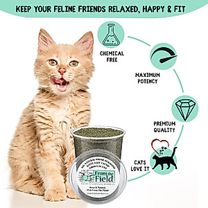 From the Field Catnip for Cats – All Natural Cat Nip, Finely Ground without Stalks or Stems, Resealable – Fresh, Potent and Grown in the USA Promotes Cat Exercise, Play and Engagement [Size Variation]