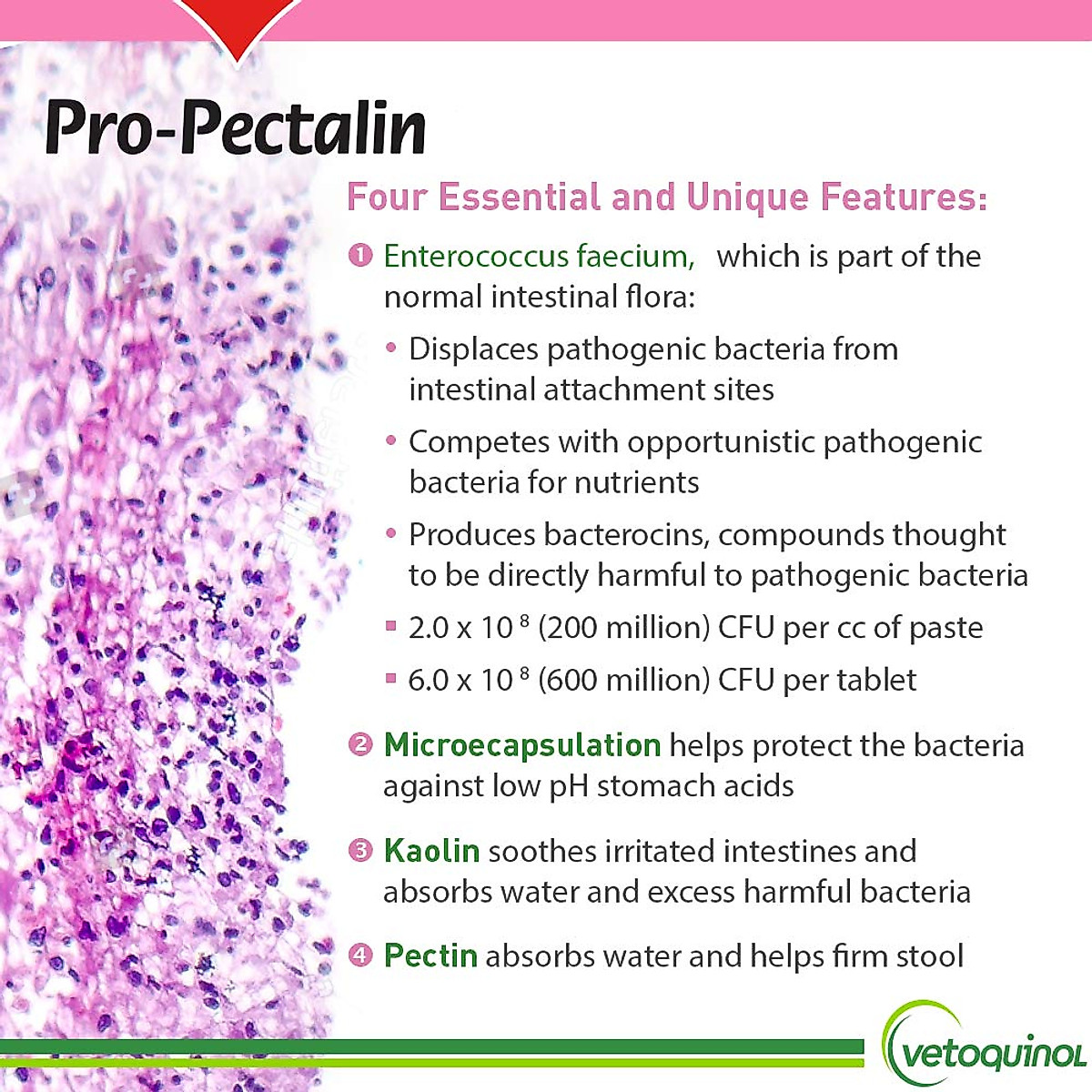 Vetoquinol Pro-Pectalin Oral Paste for Dogs & Cats – Chicken Flavor – Helps Reduce Occasional Loose Stool & Diarrhea, Balance Gut pH, Support Normal Digestion & Intestinal Flora