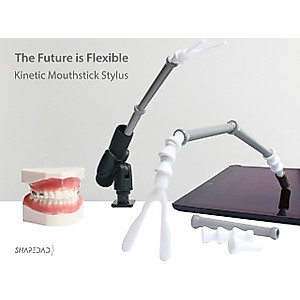 Kinetic Mouthstick Stylus
