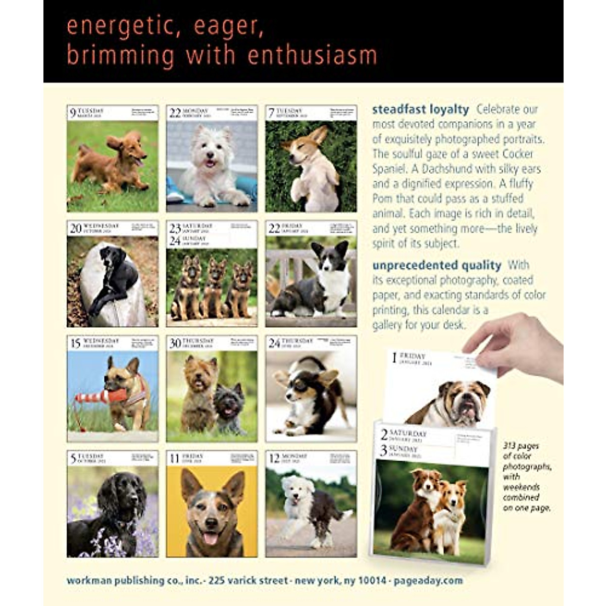 Dog Page-A-Day Gallery Calendar 2021