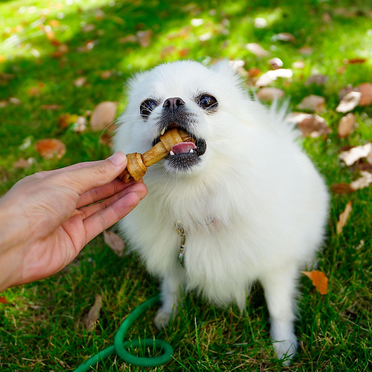 MON2SUN Dog Rawhide Knot Bones Small Rawhide Bones Mini Dog Chews Chicken Flavour 2.5 Inch 100 Count for Puppy and Small Dogs