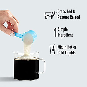 Vital Proteins Collagen Peptides Powder, Promotes Hair, Nail, Skin, Bone and Joint Health, Unflavored 9.33 OZ