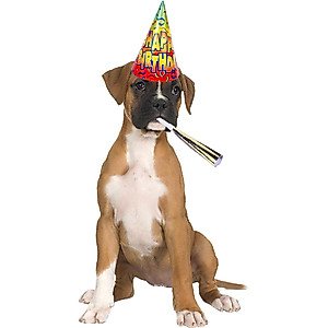 CafePress Boxer Birthday Card Folded Greeting Card Glossy