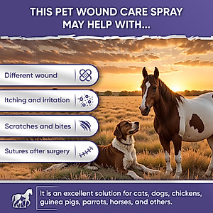 Dog Wound Spray | Cat and Dog Wound Care | Dog Itch Spray | Pet Wound Care + Lavender | Wound Care for Dogs | Cat Wound Care | Horse Wound Care | Wound Care for Cats | Chicken Wound Spray | 4 Oz