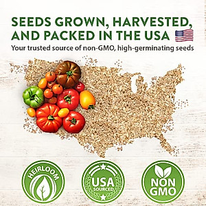 Heirloom Tomato Seeds for Planting (10pk) w/Basil Seeds | 100% Non-GMO Tomatoes: Cherry, Roma, Beefsteak, Zebra, Yellow Plum, Amish Paste, Cherokee, Krim, Italian Basil, Thai Basil Seed