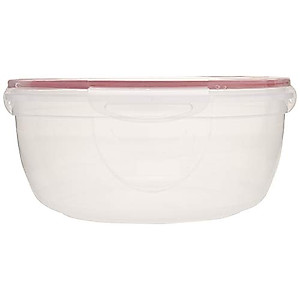 STERILITE Bowl, 1 Count, Clear