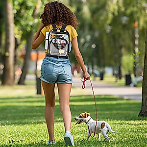 ELEKFINE Clear Backpack, Heavy Duty PVC Clear Bag Stadium Approved - Clear Book Bag for School, Work, Travel, Security, Festival, College (12 Inch)