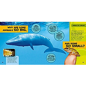 National Geographic Little Kids First Big Book of Why (National Geographic Little Kids First Big Books)