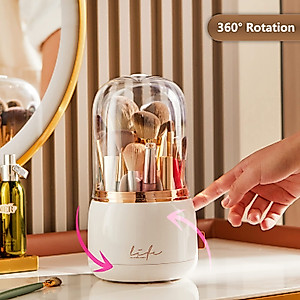 LtyTz Makeup Brush Holder Organizer with Lid, Rotating Dustproof Make Up Brushes Organizer with Clear Acrylic Cover for Vanity Desktop Bathroom Countertop (Dark green)
