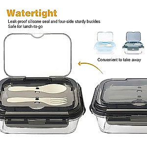 Delight King Lunch-to-Go Glass Baking and Storage Container with Fork and Spoon Compartment Lid, Black