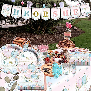 Pumpkin Gender Reveal Decorations - Pumpkin He or She Gender Reveal Tableware Set Fall Paper Plate,Napkins,Tablecloth for Little Pumpkin Baby Shower Decorations Girl,Gender Reveal Party