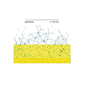 Information Technology Project Management
