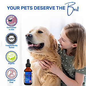 Dog Cough Treatment - Kennel Cough Treatment - Dog Allergy Relief - Itch Relief - Wet & Dry Cough Suppressant - for Dogs & Cats - XanderPets USA 1200 Drops