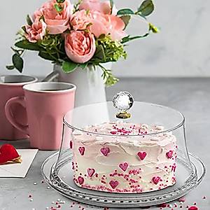 Hiceeden 10 Inch Acrylic Cake Stand with Dome Lid, Clear Cake Plate with Cover, Serving Platter with Lid for Display, Party, Dinner, Dessert