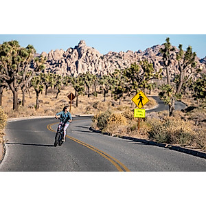 EMOJO RAM SS Street 750W Folding Electric Road Bike for Adults 20 Inch Fat Tire Outdoor E Bike with 48V 10Ah Lithium Battery 20MPH 30 Miles Pedal Assist E Bicycle 7 Speed and LCD Display (Black)