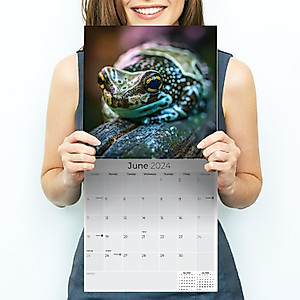 2023 2024 Frogs - Reptile Monthly Wall Calendar - 12 x 24 Open - Thick No-Bleed Paper - Giftable - Academic Teacher's Planner Calendar Organizing & Planning
