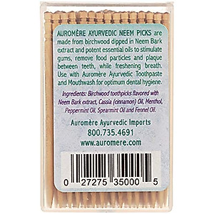 Auromere Ayurvedic Neem Toothpicks - Vegan, Natural, Non GMO, Made from Birchwood (100 Count) (1 Pack)