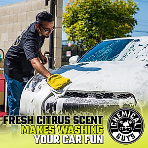 Chemical Guys CWS_301_16 Citrus Wash & Gloss Foaming Car Wash Soap (Works with Foam Cannons, Foam Guns or Bucket Washes) Safe for Cars, Trucks, Motorcycles, RVs & More, 16 fl oz, Citrus Scent
