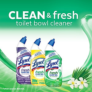 Lysol Fresh Cling Toilet Bowl Cleaner, Forest Rain Scent, 24 Ounces (Pack of 4)