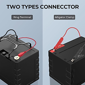 RoyPow 12V Battery Charger 3-Amp Automatic Smart Battery Maintainer, Trickle Charger, and Battery Desulfator with Alligator Clamp and Ring Terminal