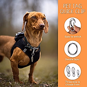 18 Pieces Leash Dog Tag Clip Pet ID Tag Pet Tag Clip Quick Clip Combos Durable Dog ID Tag with Rings, Stainless Steel Quick Clips Pet ID Tag Holder for Dog Cat (Silver, 1.9 Inch，1.3 Inch，0.8 Inch)