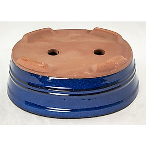 bigsnowball 8" Oval Dark Blue Bonsai/Cactus & Succulent Pot + Tray + Rock + Mesh Combo