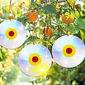 6PCS Bird Scare Devices Reflective Discs Scare Bird Away Sparkly Double-Sided Bird Reflectors for Home Garden Bird Scare Control Devices,Keep All Birds Away