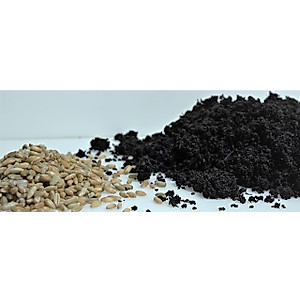 Mushroom Grow Kit - Magic All in One Mushroom Grow Bags - 4 Pack