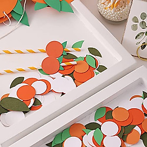 Orange Paper Straws - Biodegradable Disposable Drinking Striped Paper Straws 15 Pieces, Little Cutie Straws, Little Cutie Baby Shower Decorations, Little Cutie Themed Birthday Decorations