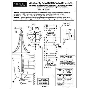 Progress Lighting P3753-20 Seeded Glass Hall & Foyer, Bronze