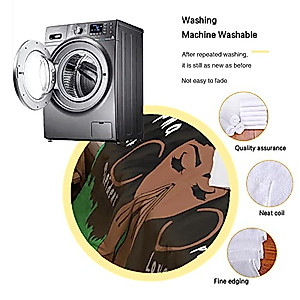 Cartoon Blankets Winter Warm Soft Blanket Throw for Bedroom Sofa Chair Lightweight Home Decor Travel Blanket 60*80inch（203CM*153CM）