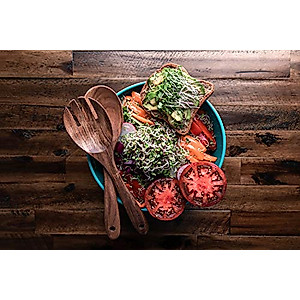 Broccoli Trio Sprouting & Microgreen Mix | Contains 3 Heirloom, Non GMO Broccoli Sprouting Seed Varieties for Broccoli Sprouts & Microgreens | 1 LB Resealable Bag | Rainbow Heirloom Seed Co.