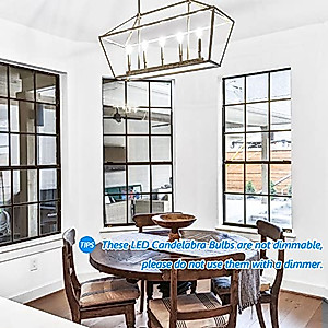 LED Candle Bulbs 40W Equivalent, E12 Candelabra Light Bulbs 4W 470Lm Clear Edison LED Bulbs, Daylight White 5000K Classic Bright Filament Bulbs, Non-Dimmable Decorative Bulbs for Lamps, Pack of 5