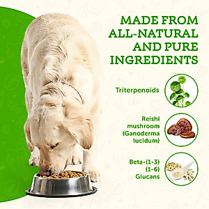 Animal Essentials Longevity Reishi Mushroom Supplement for Dogs & Cats - Healthy Cardiovascular & Liver Function, Supports Long Term Health, Mushroom Powder Extract, Antioxidant - 1.8 Oz (Pack of 1)