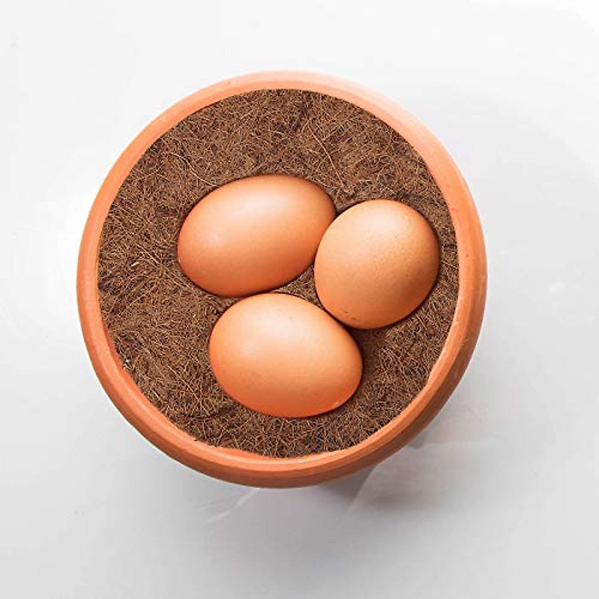 TEHAUX 12pcs Bird Nesting Pad Coconut Fiber Substrate Bird Nest Racing Mat Pigeon Breeding Eggs Materials for Finch Chicken Smalll Animals